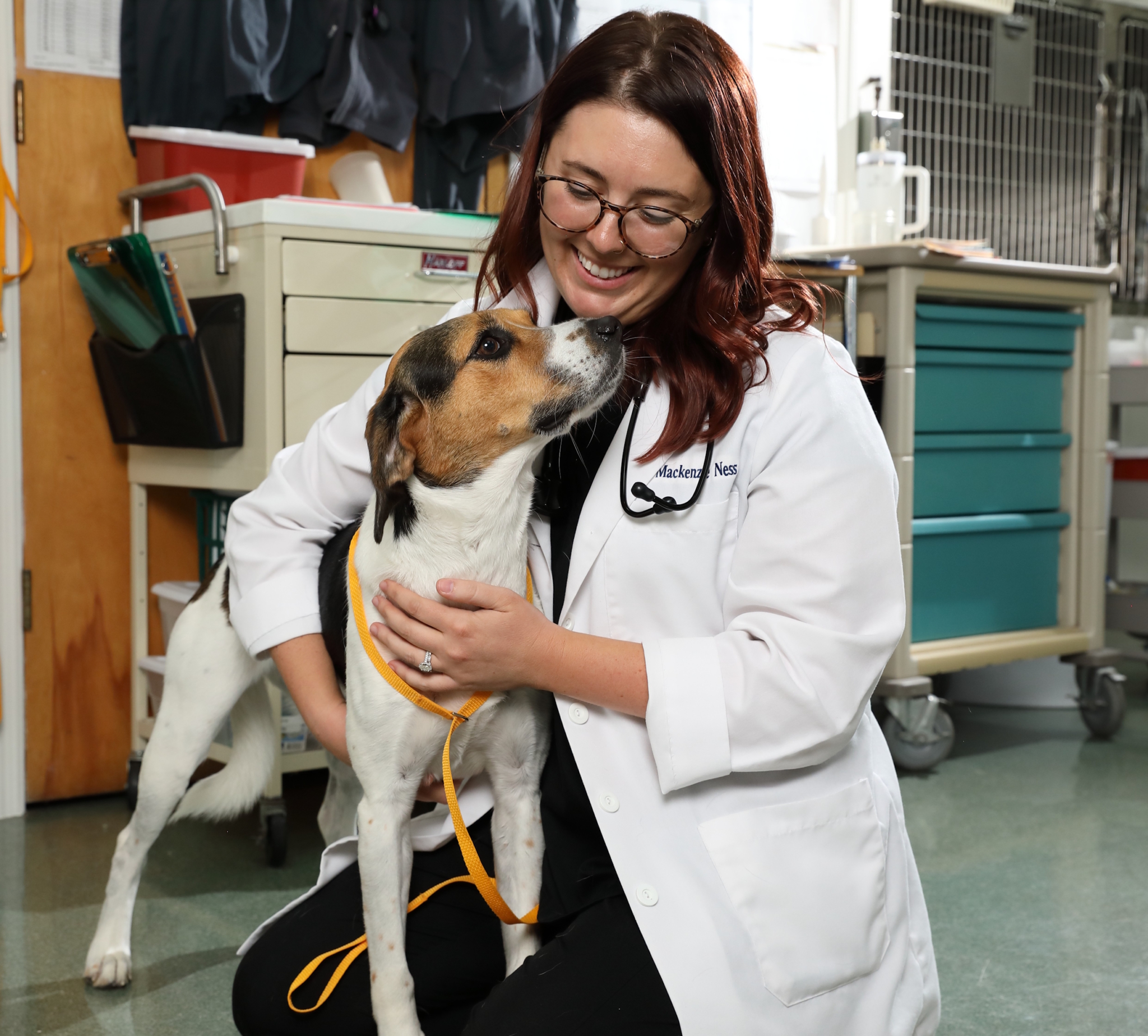 Wellness and Prevention – Tavares Animal Hospital